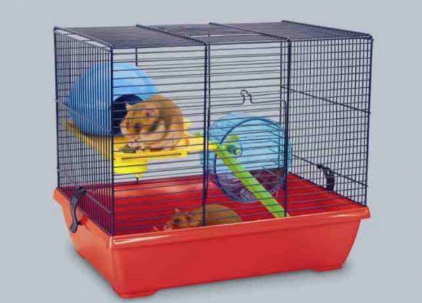 Colivie + hamster. Клетка + хомячок.