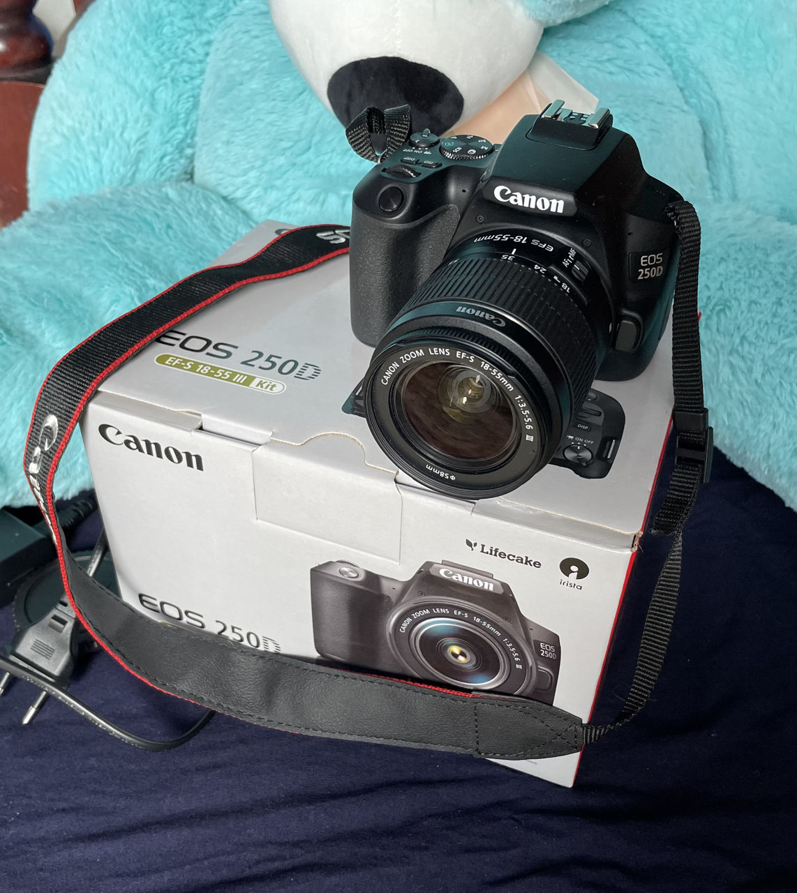 Canon EOS 250D