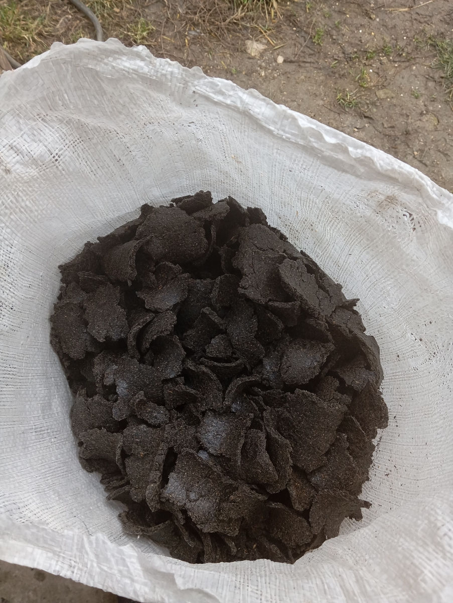 Macuc de floarea soarelui