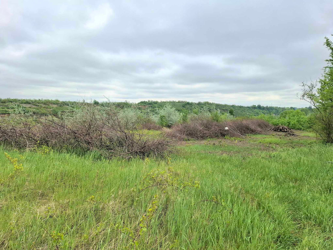 Vindem Teren 26 Ari Truseni/ Vatra, al 3-lea de la Traseul Chisinau - Ungheni