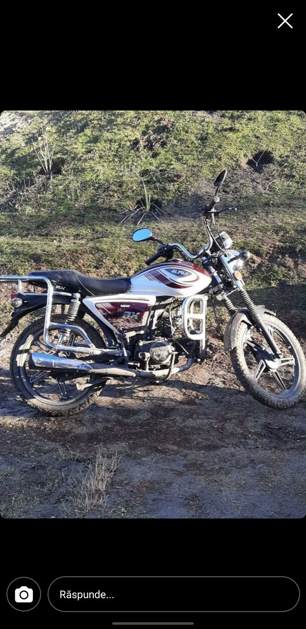 Alpha Moto Alpha RX