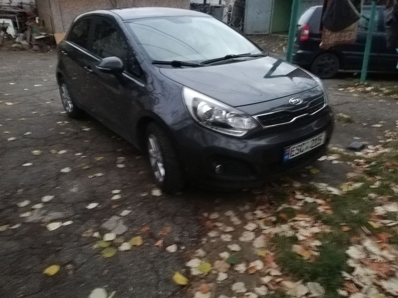 KIA Rio