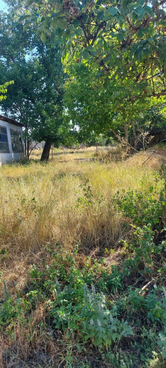 Yeren pentru constructii