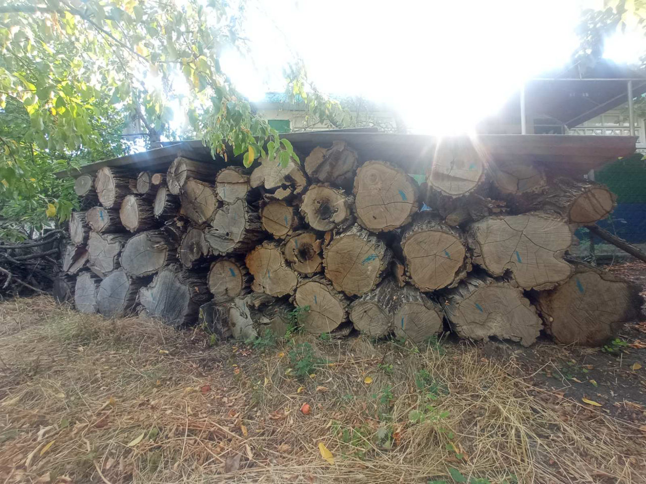 Vând lemne de foc (salcâm) !!! 2000lei/m3