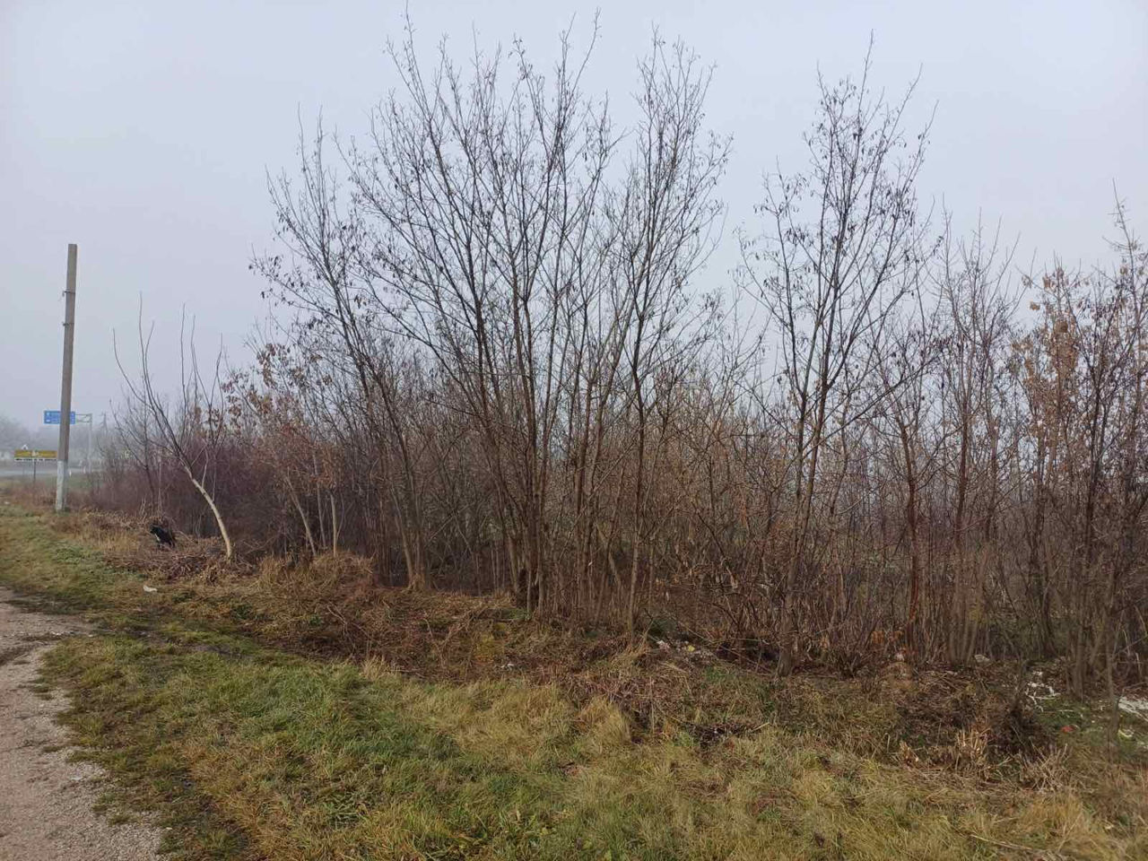 Teren cu destinatie pentru constructie r-nul Donduseni,Tirnova