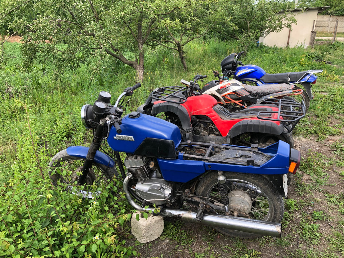 Kayo Jawa atv kayo fekon