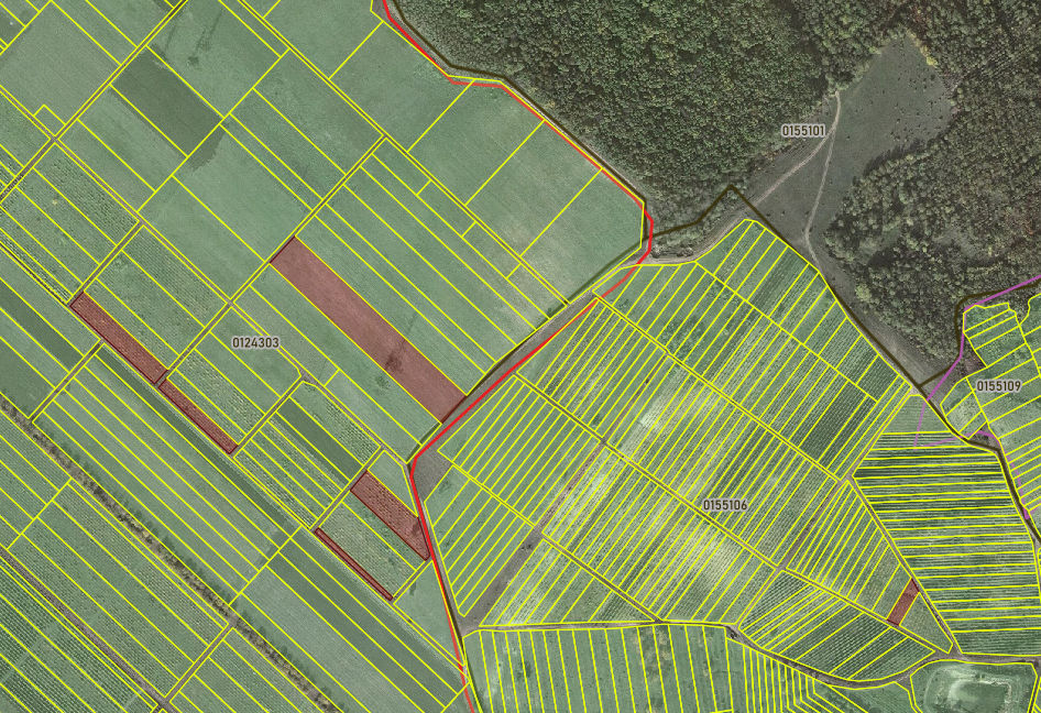 Spre vînzare terenuri agricole com.Ghidighici