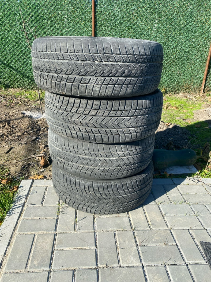 Anvelope de iarna 225/50 R18