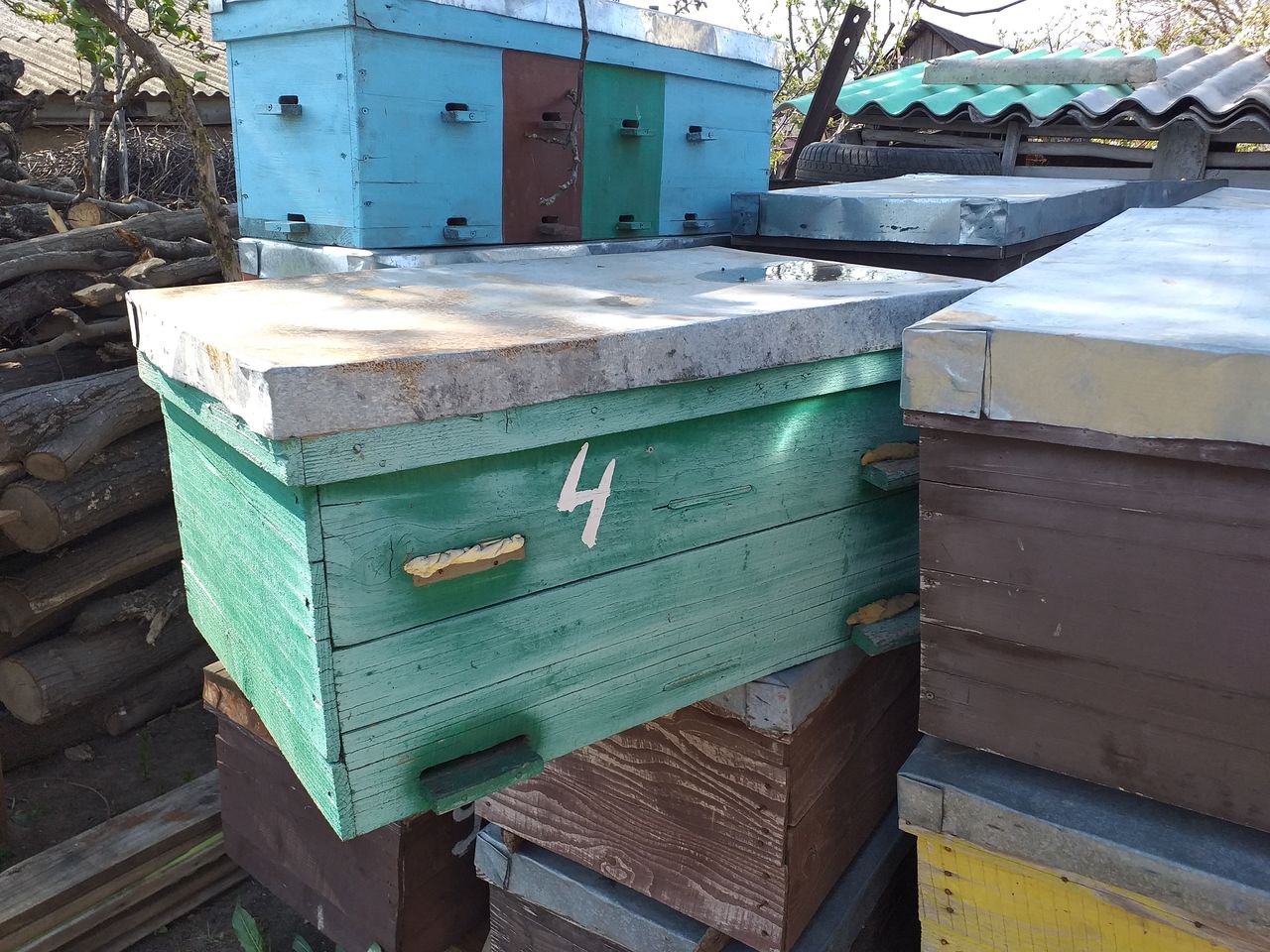 Stupi pentru incepători