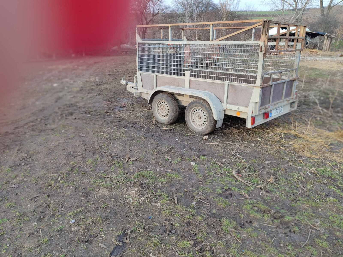 Vind remorcă îi stare buna