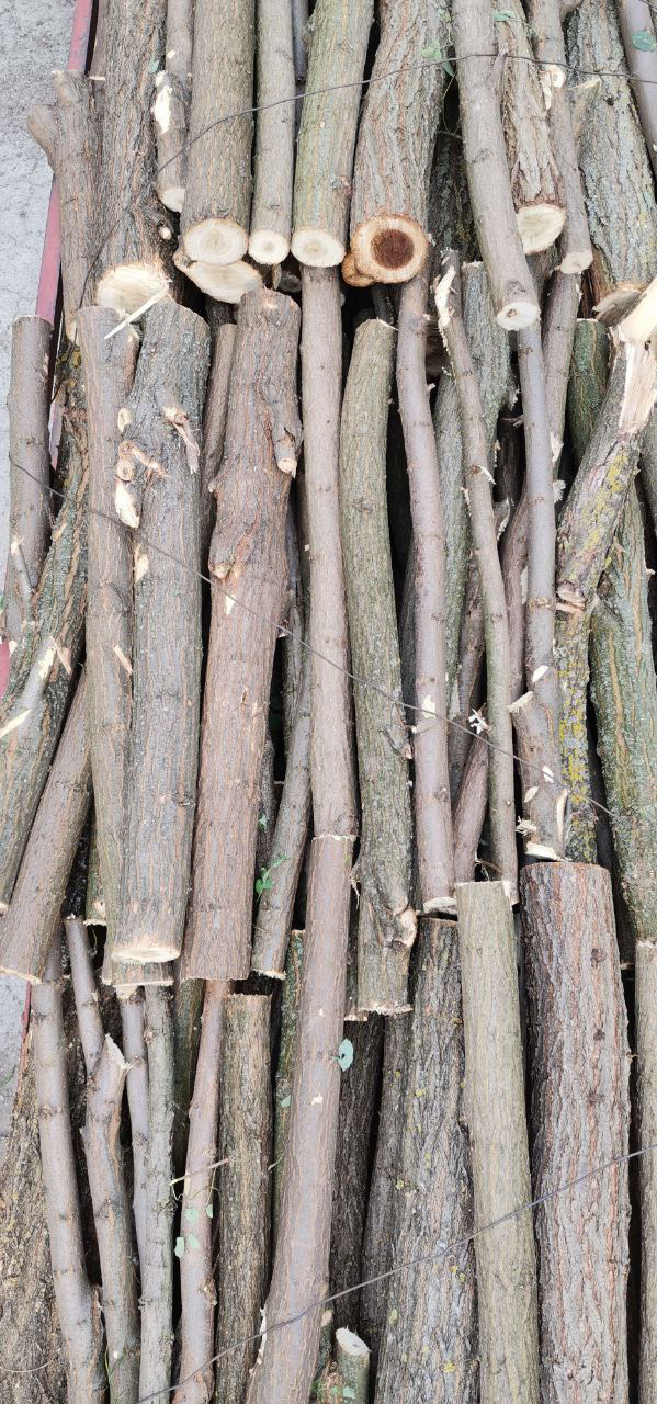 Lemne de foc - specii tari