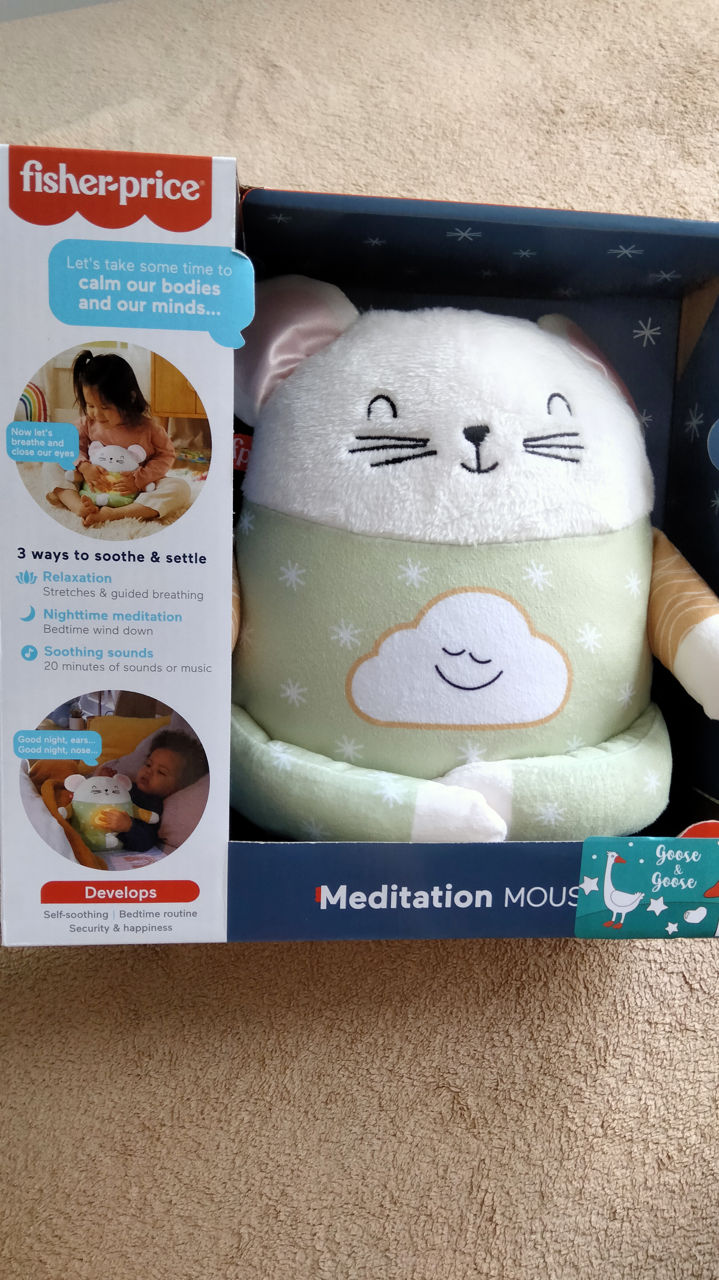 Fisher price Meditation mouse