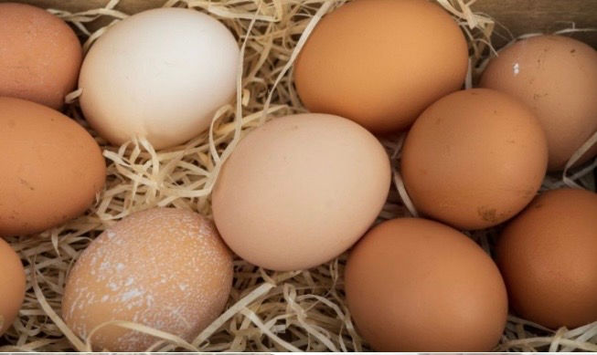 oua de casa medii-mari