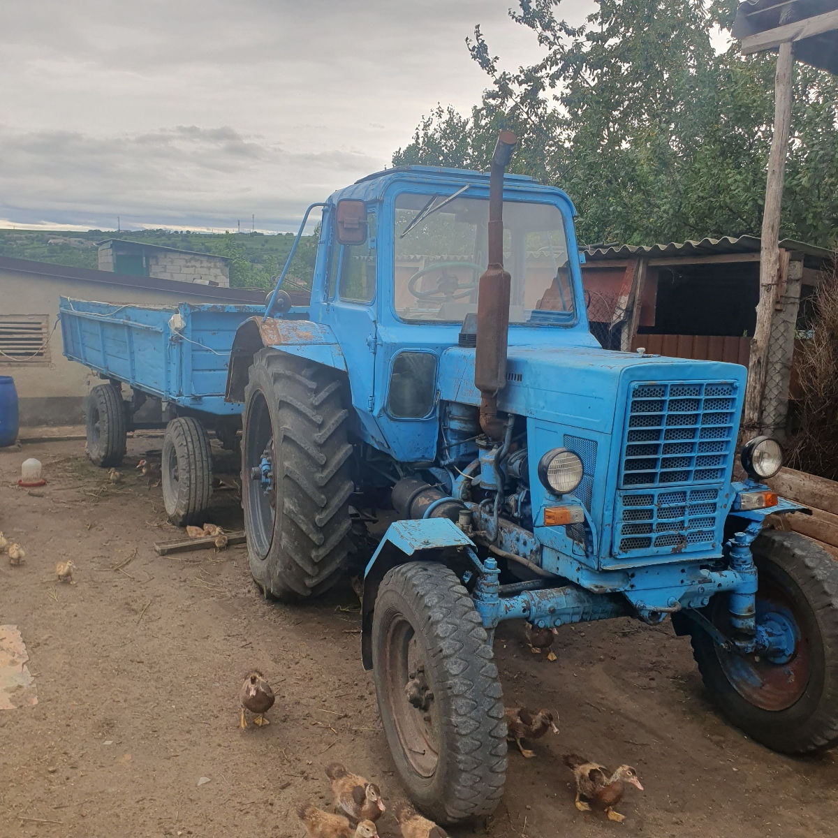 mtz 80