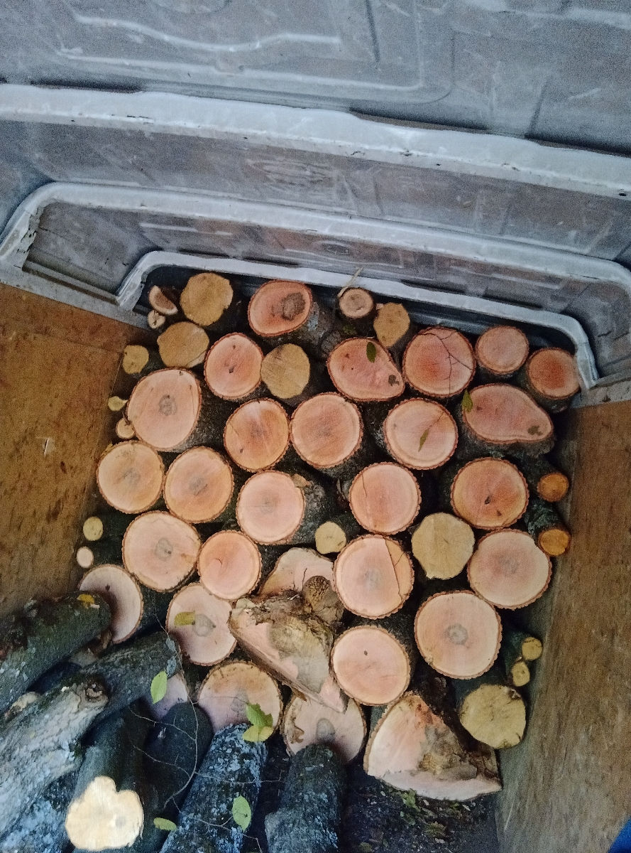 lemne de foc specii tari