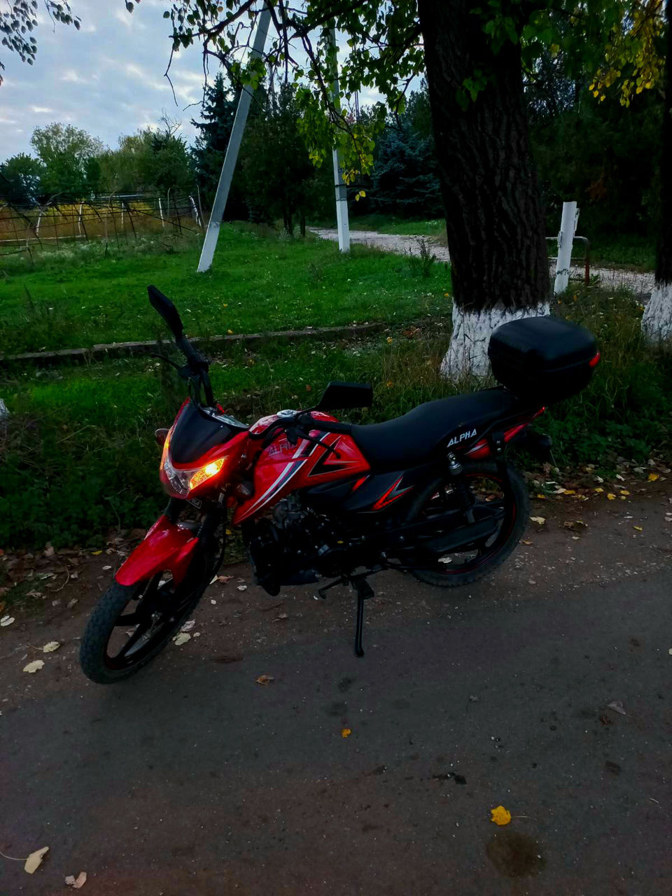 Alpha Moto Alpha moto