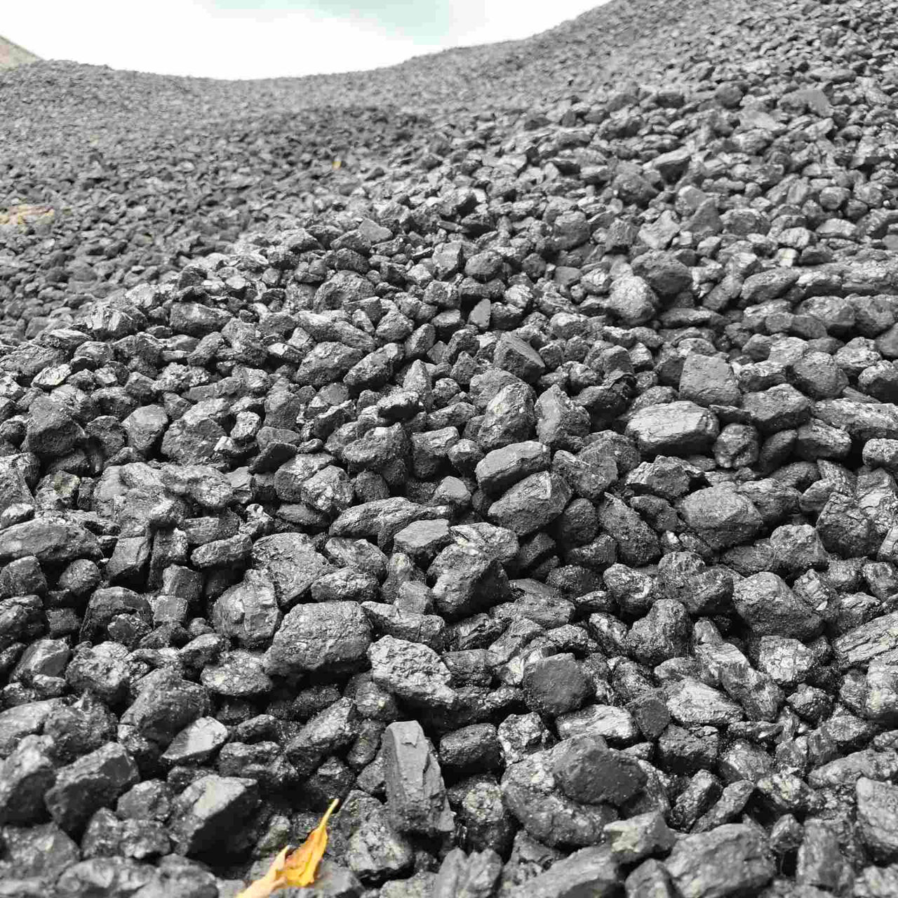 Carbune AM AS pret de la 5300