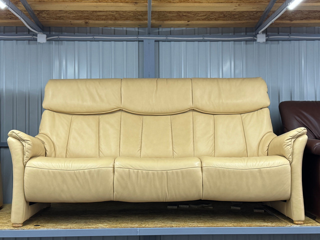 Canapele din piele (Germania )