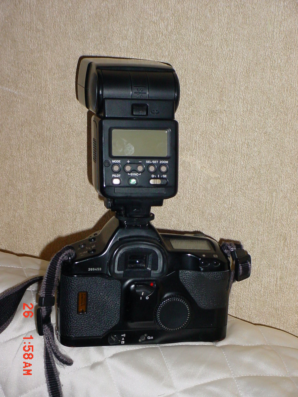 canon eos-1n