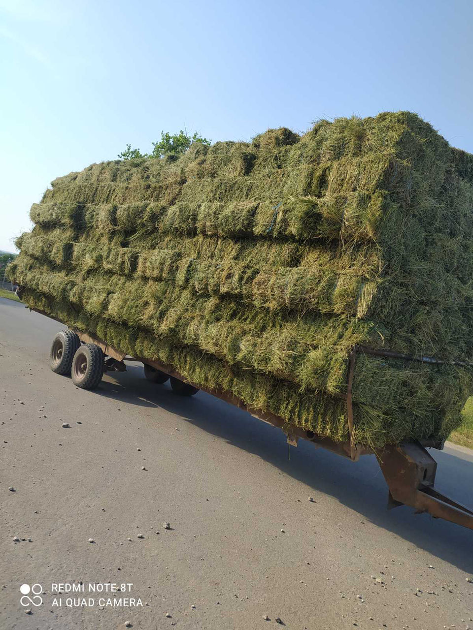 Vind baloti de lucerna