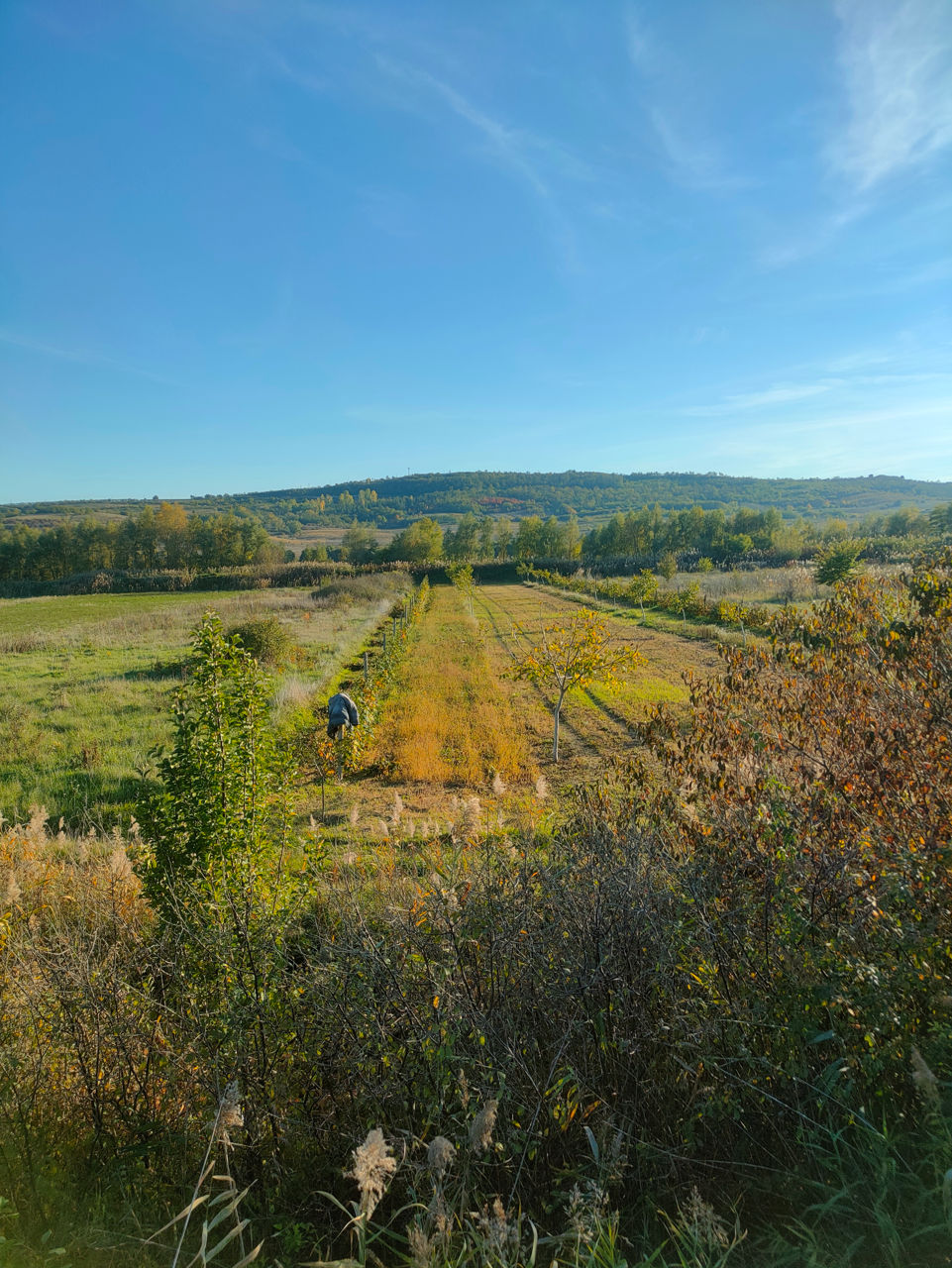 Teren arabil 30 ari in Lozova