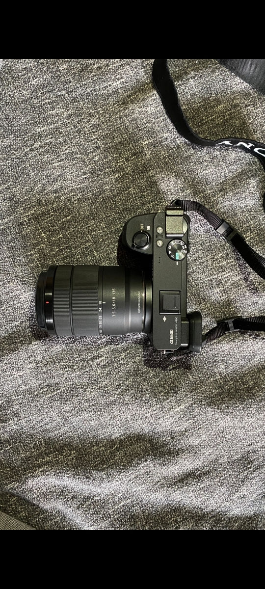 Sony A6600