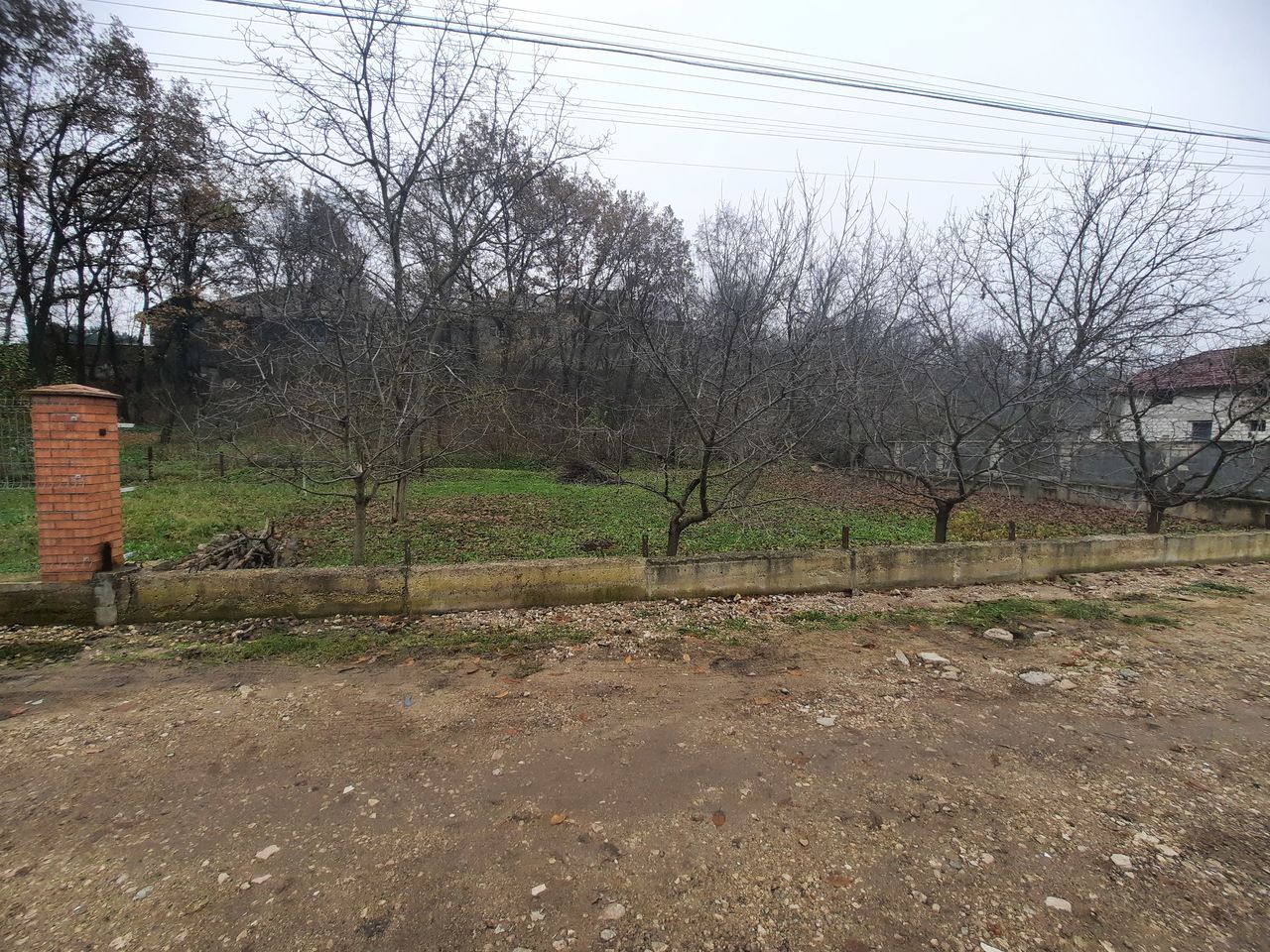 Vind 9 ari pentru constructii