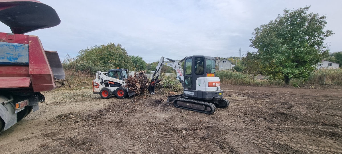 Servicii de defrisare