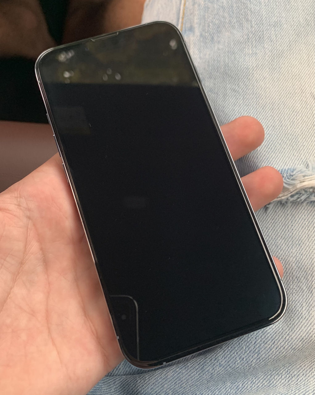 iPhone 13 Pro Blue