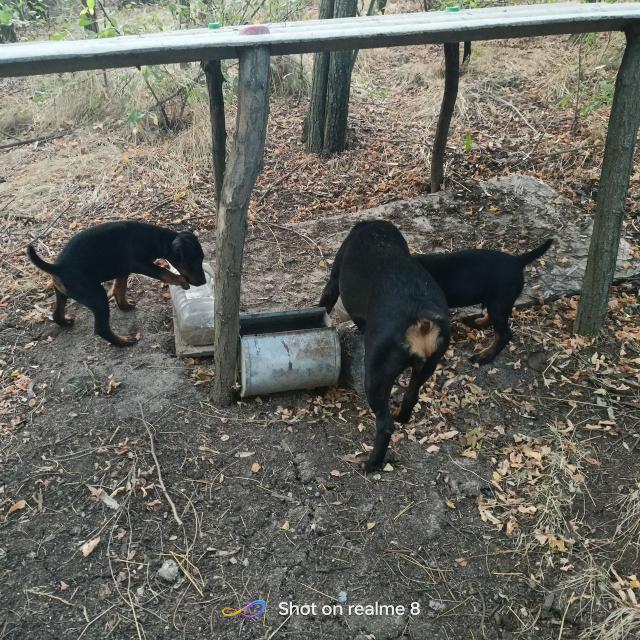 se vinde iahterier cu acte fci