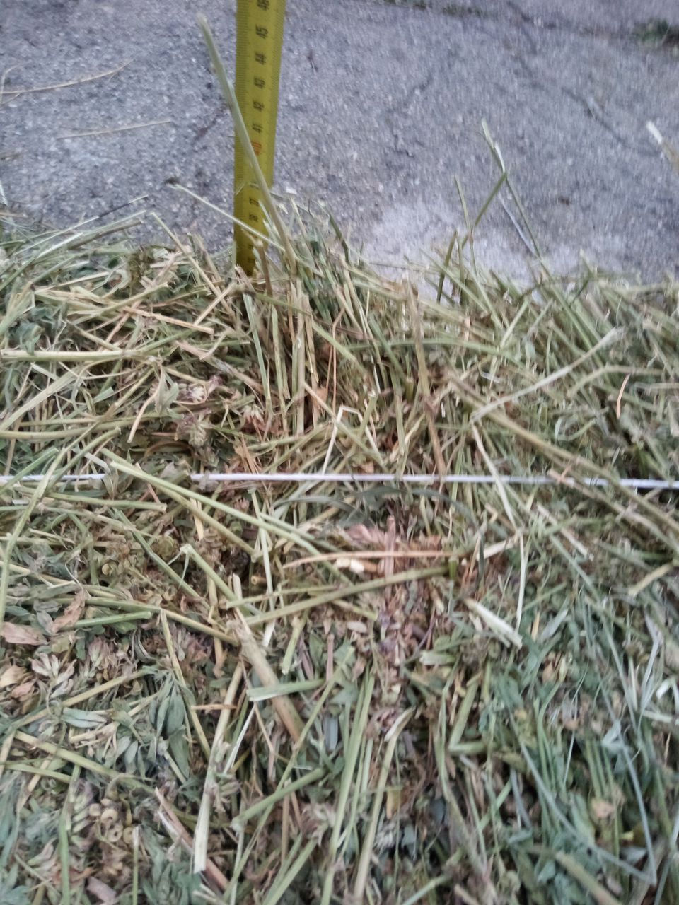 vind baloti de lucerna 3-4 ucos 80 lei,al1- 2 ucos 60 lei,paie 20,griu ...