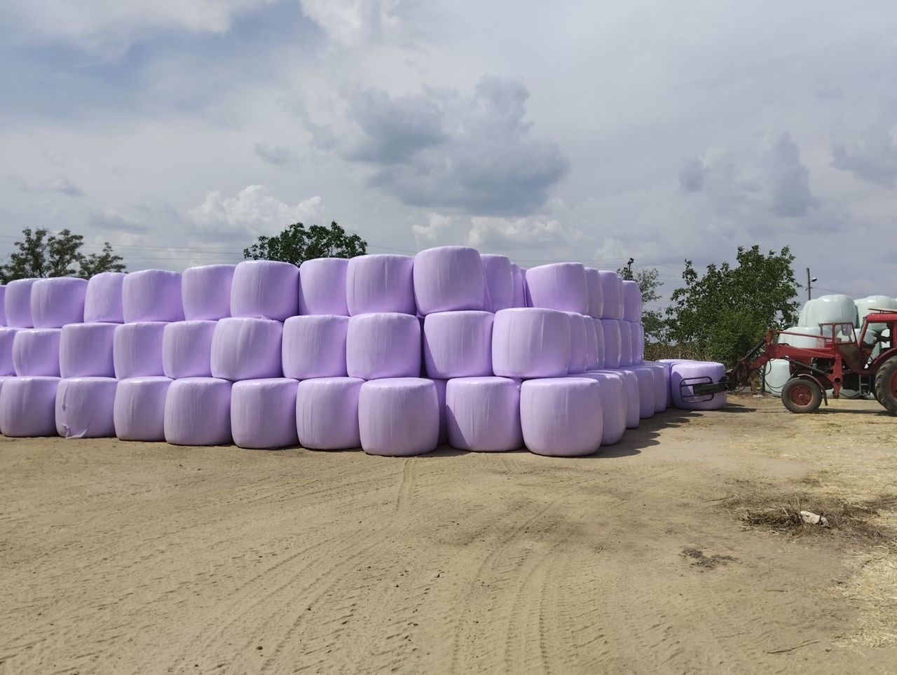 Vand senaj din lucerna