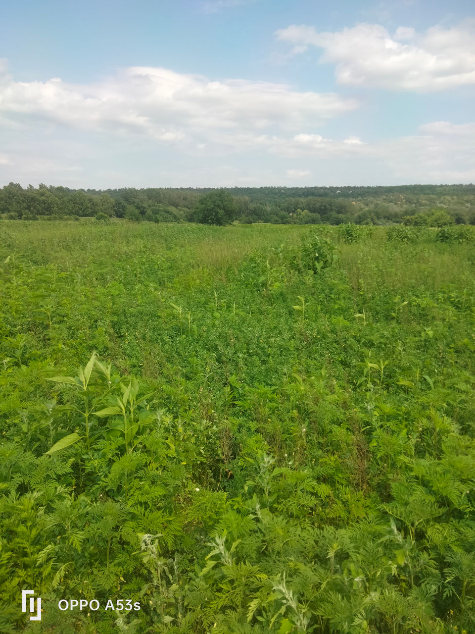 Lucerna de pe deal cu 40