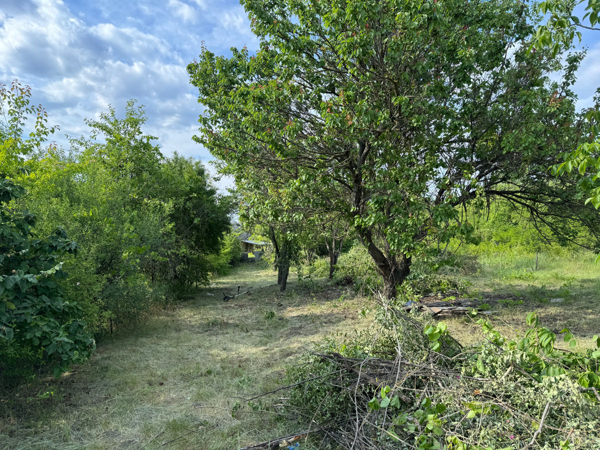 Lot pomicol 3km centru Ialoveni