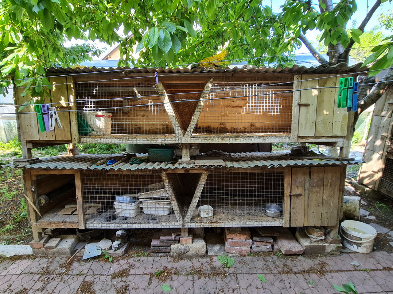 Cusca pentru iepuri.