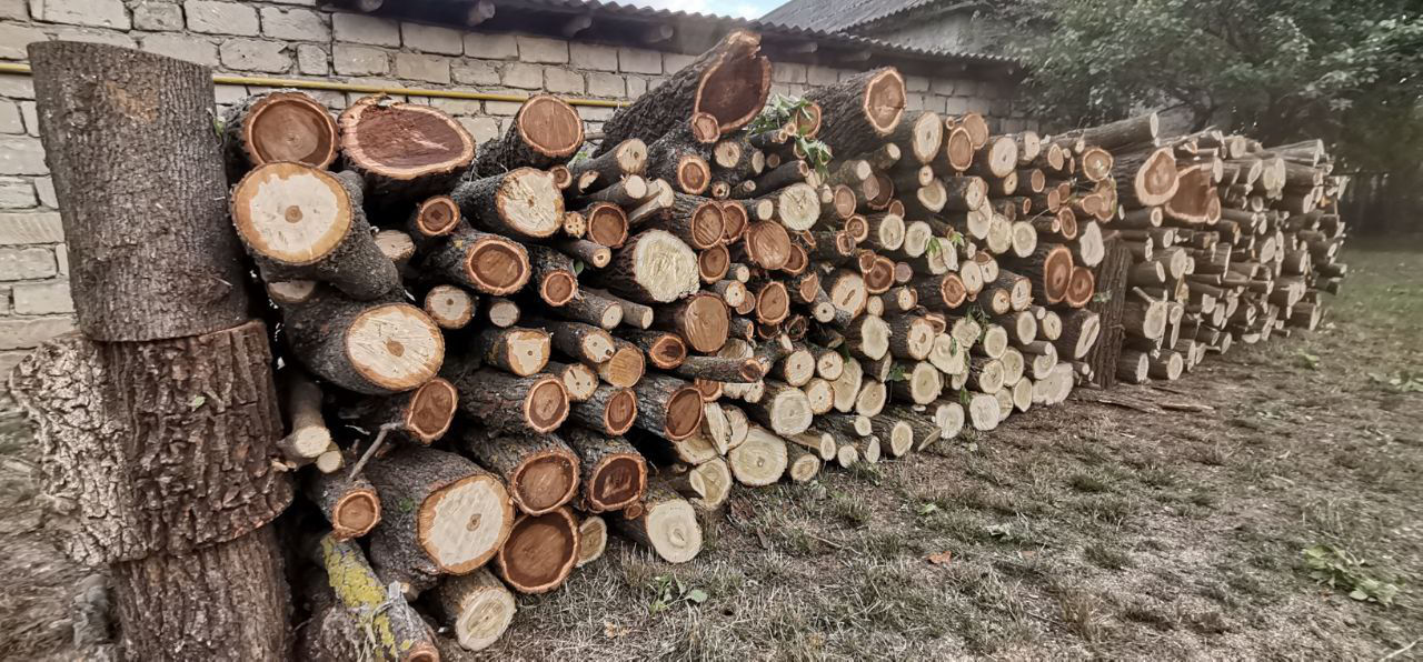 Lemne de foc - specii tari Salcam Ulm Artar