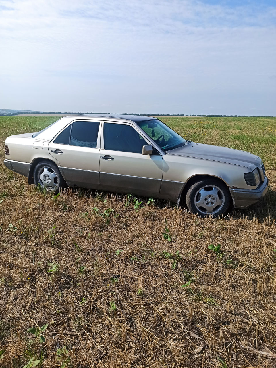 Mercedes Series (W124)