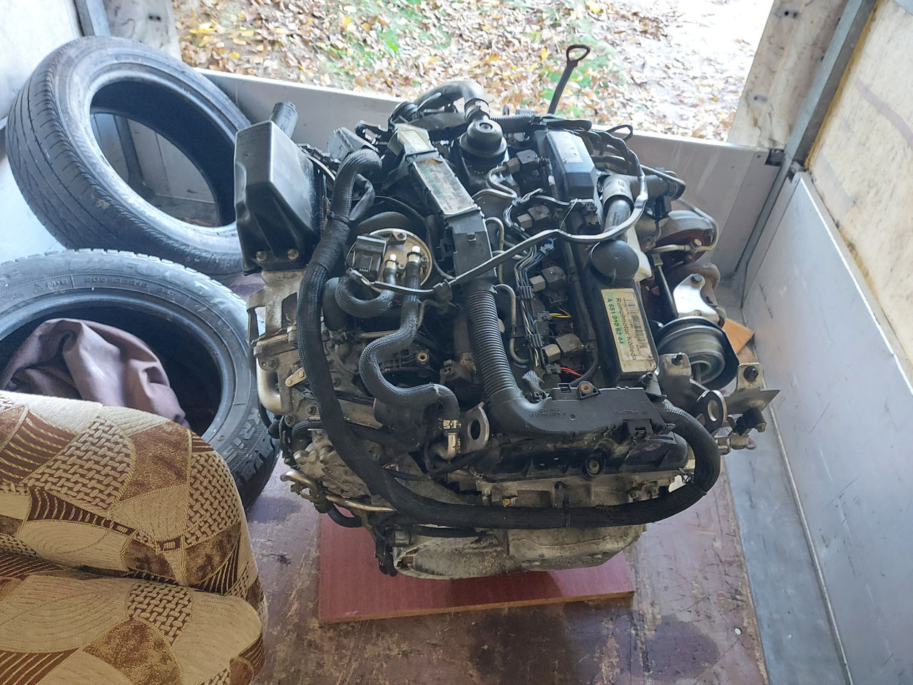 Delfin 651 motor 2200