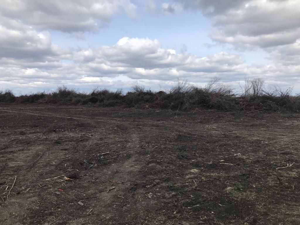 Defrisare / Раскорчевка / Корчёвка