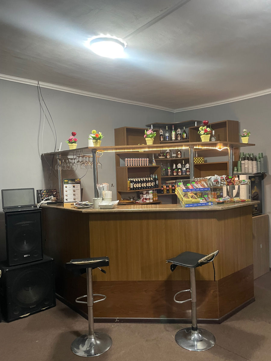Tejghea de bar(Barnaia stoica)