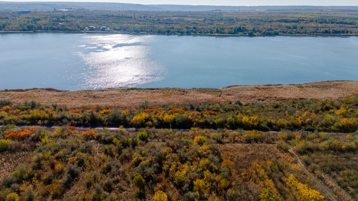 Teren lângă lac, Ghidighici, 9 ari