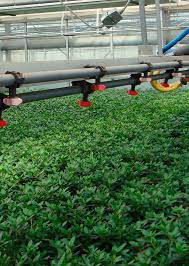 Fertiplant - ingrasaminte produse in germania. calitate si eficienta ...