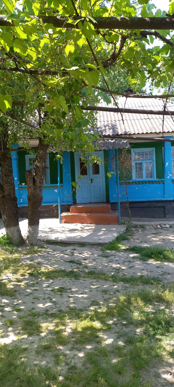 Casă de vînzare ialoveni