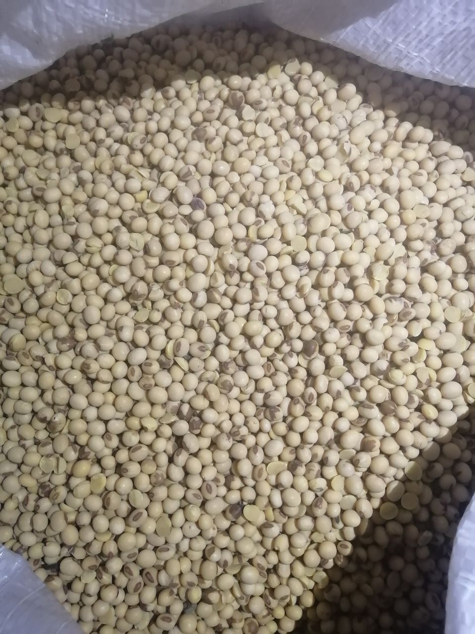 Продам Сою 5 тон