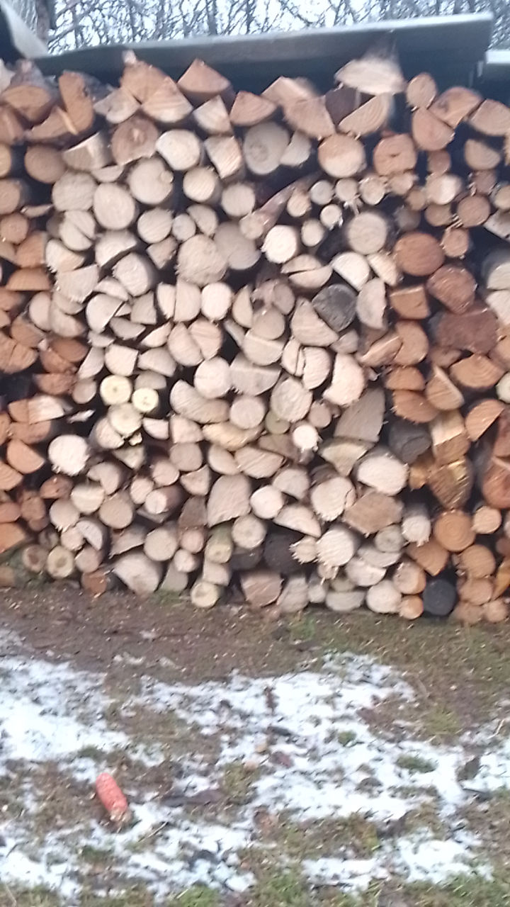 Vind lemne despicate specii tari