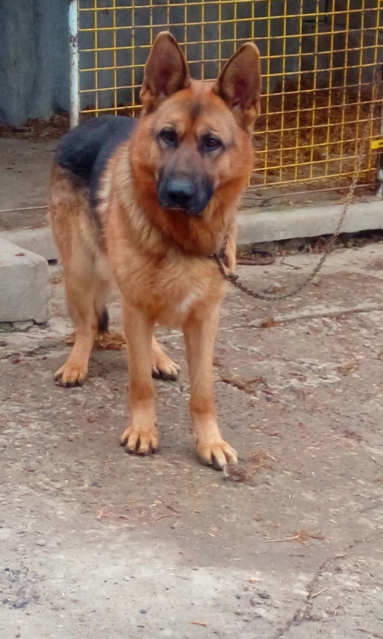 vind schimb imperechere