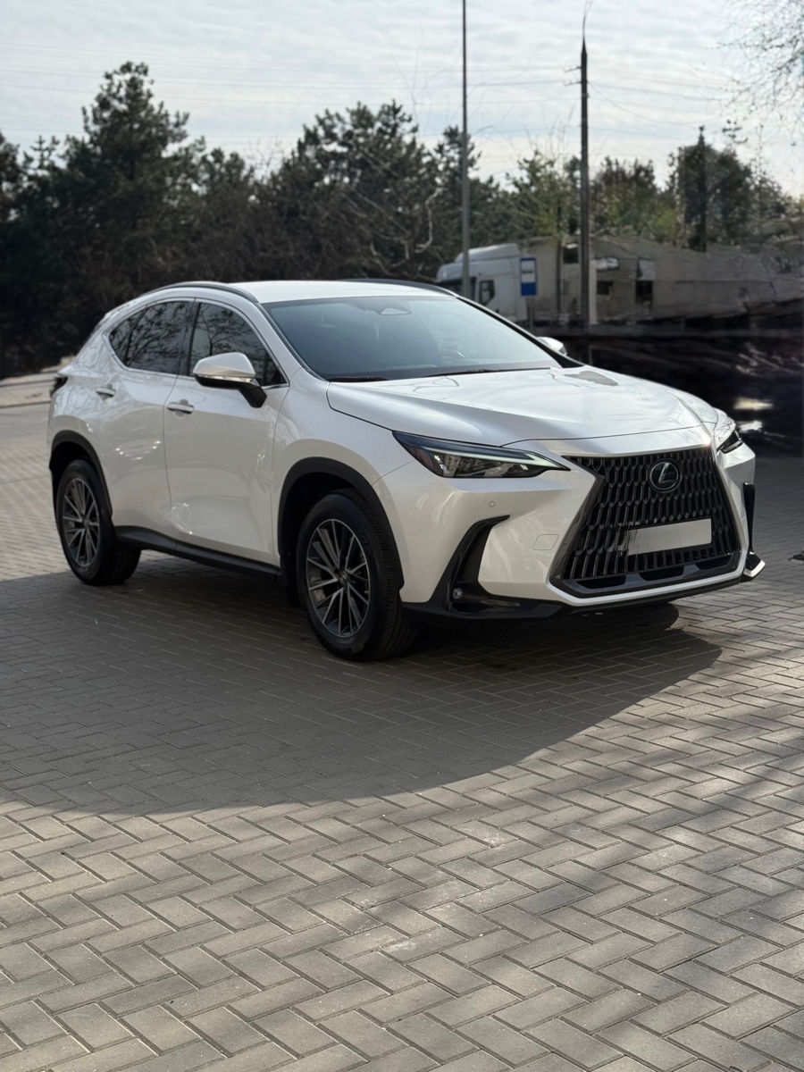 Lexus NX Series