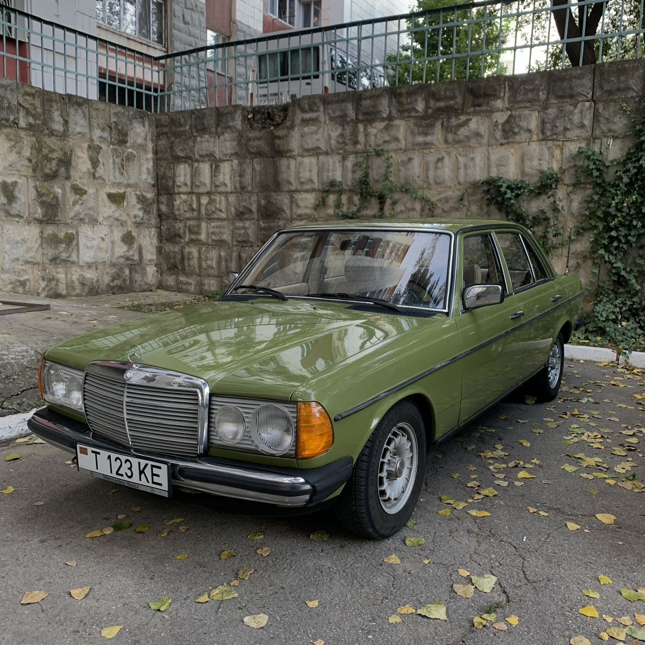 Mercedes Series (W123)