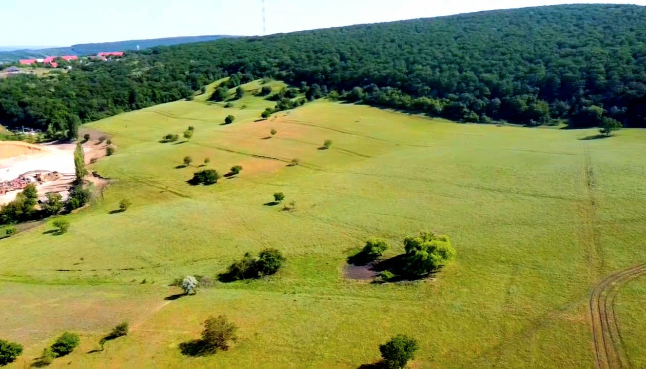 Hincesti 19 hectare lingă pădure cu ieșire la traseu 5500 euro pentru ...