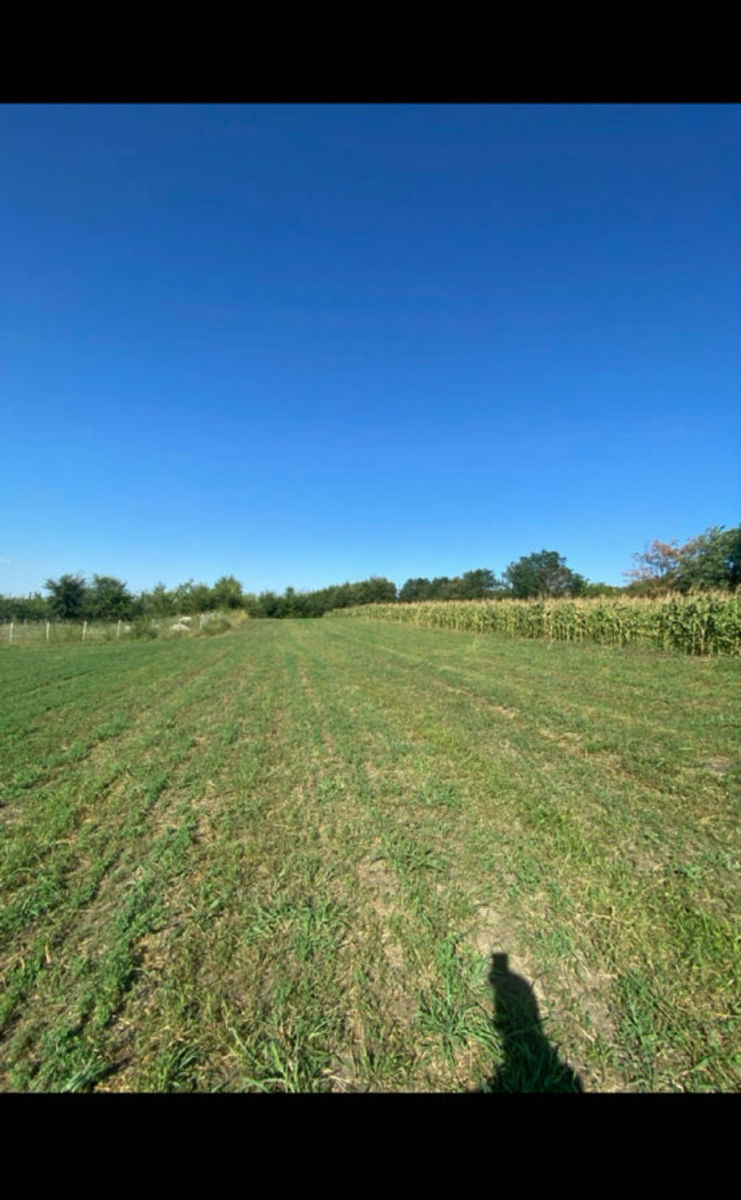 Vânzare lot de teren agricol